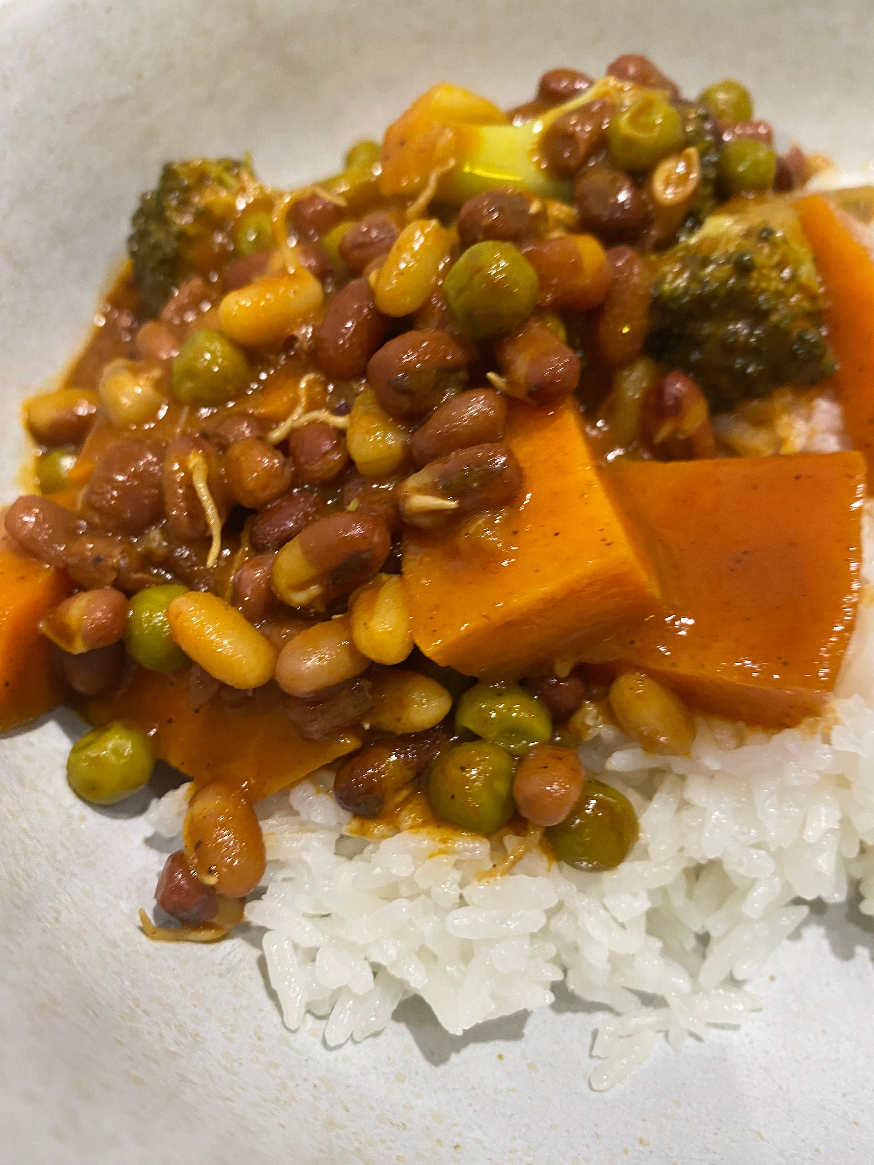 Sprouted Adzuki Vegetable Curry – The Wright Sprouts